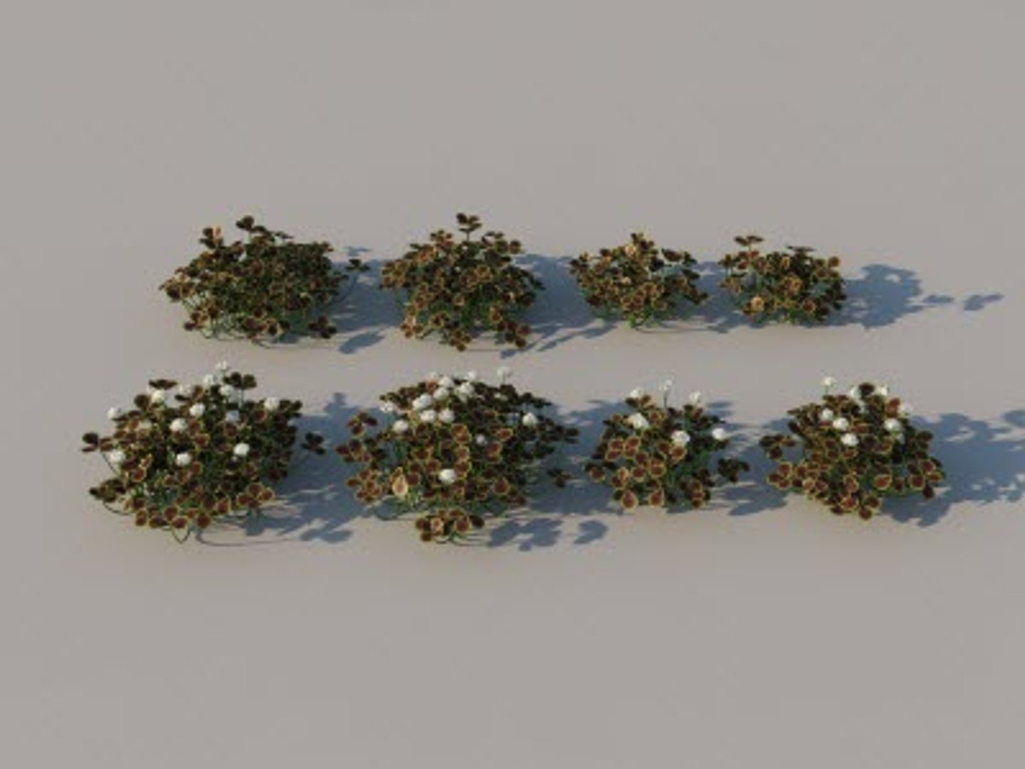 grass scattering 3d max