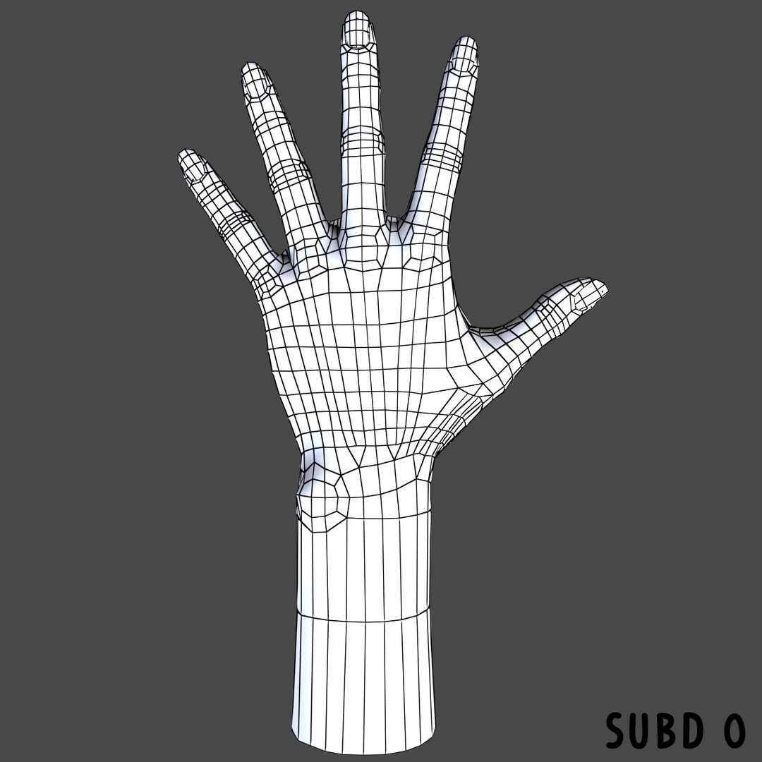 Realistic Female Hand 3d Max