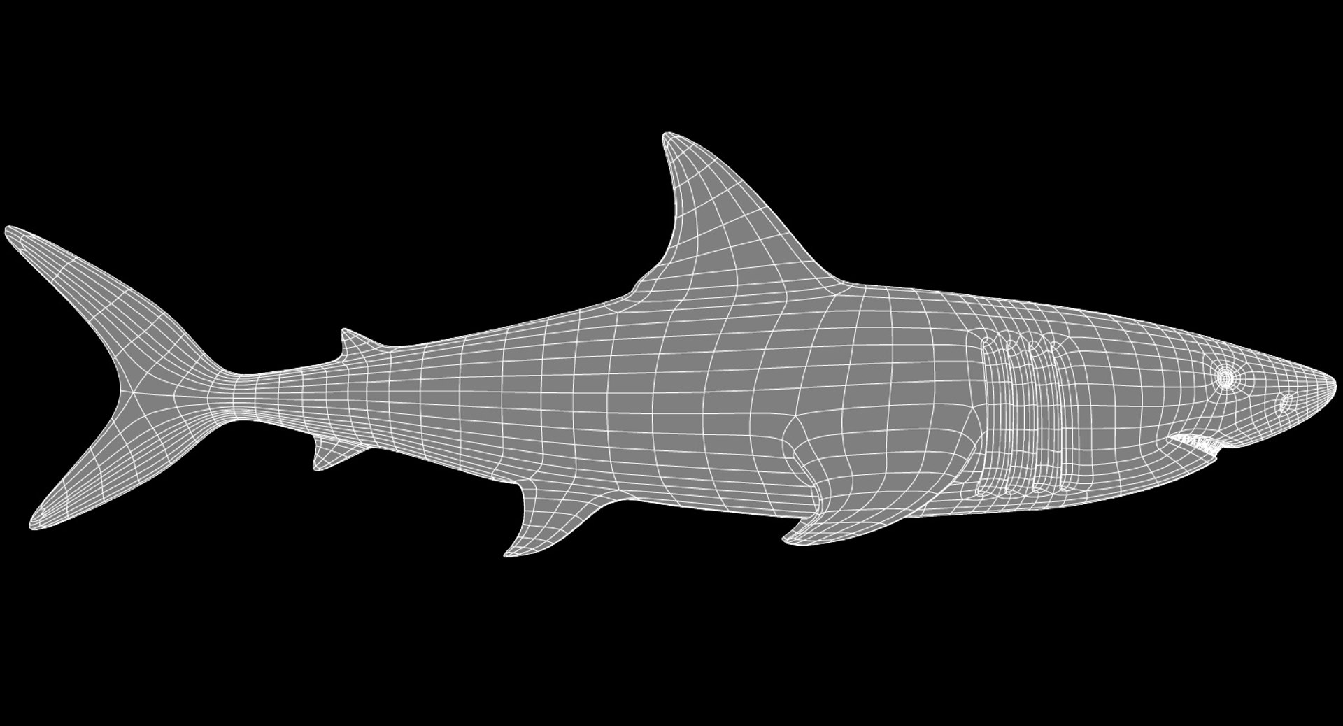 Shark Cnc 3d Max