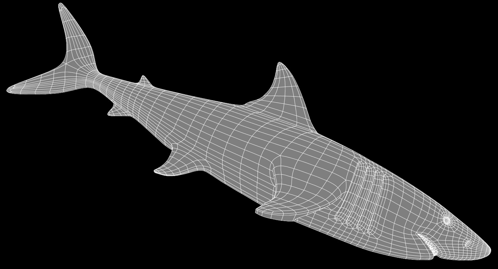 Shark Cnc 3d Max
