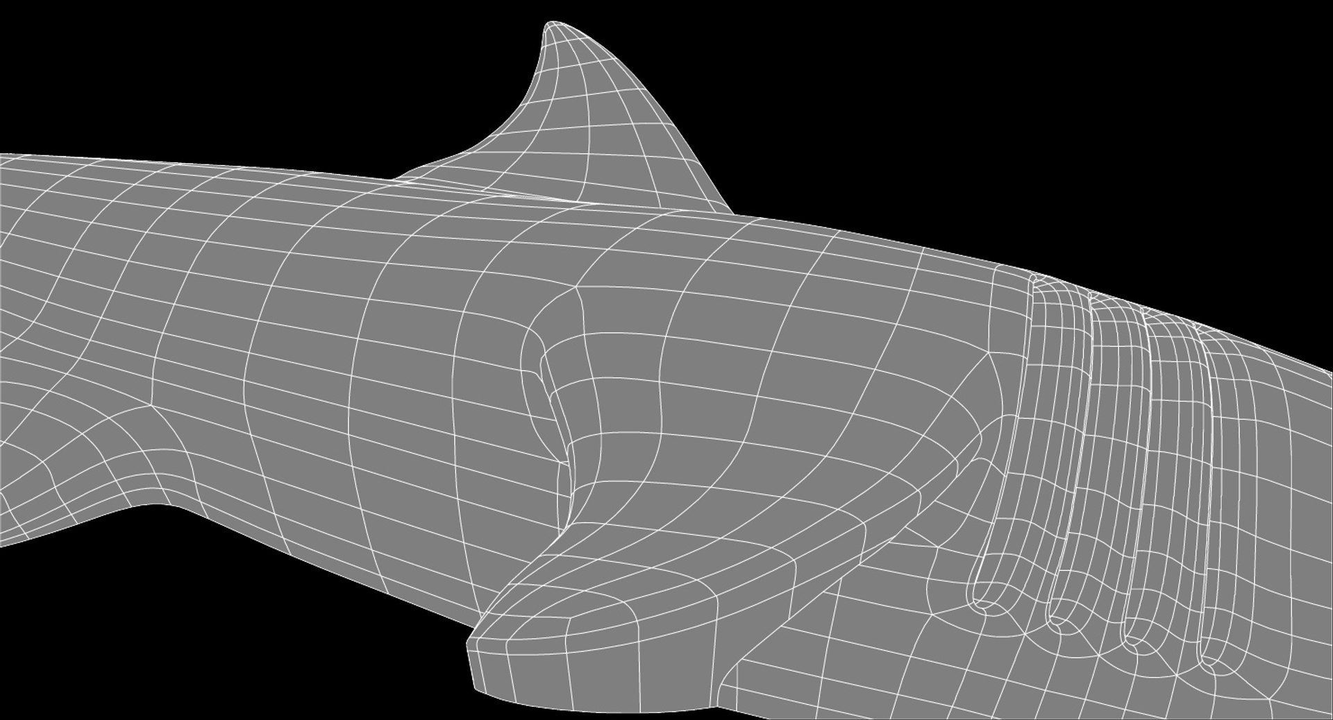 Shark Cnc 3d Max