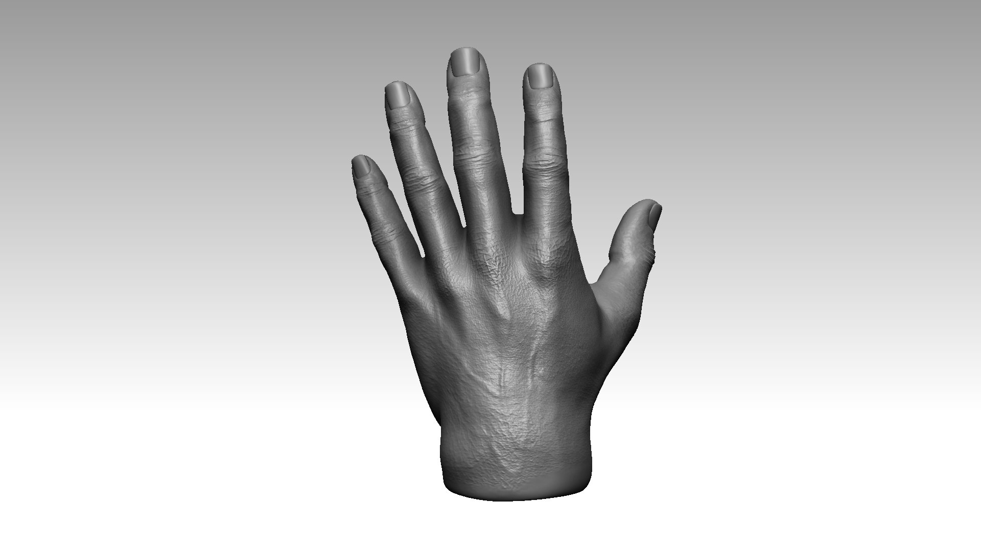 Photorealistic Male Hand Zbrush 3D Model - TurboSquid 1523679