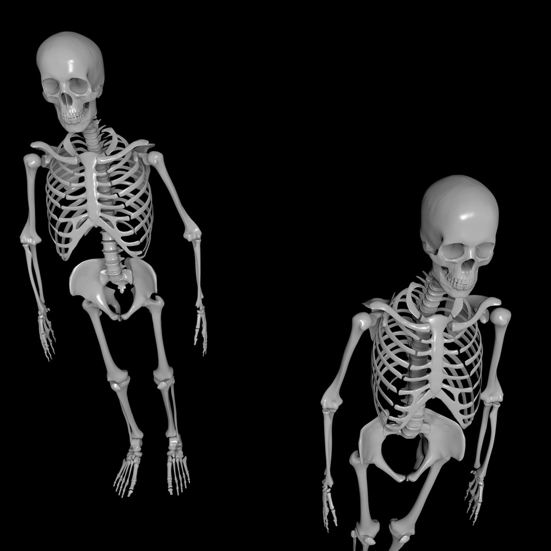 Bones Men Model - TurboSquid 1417201