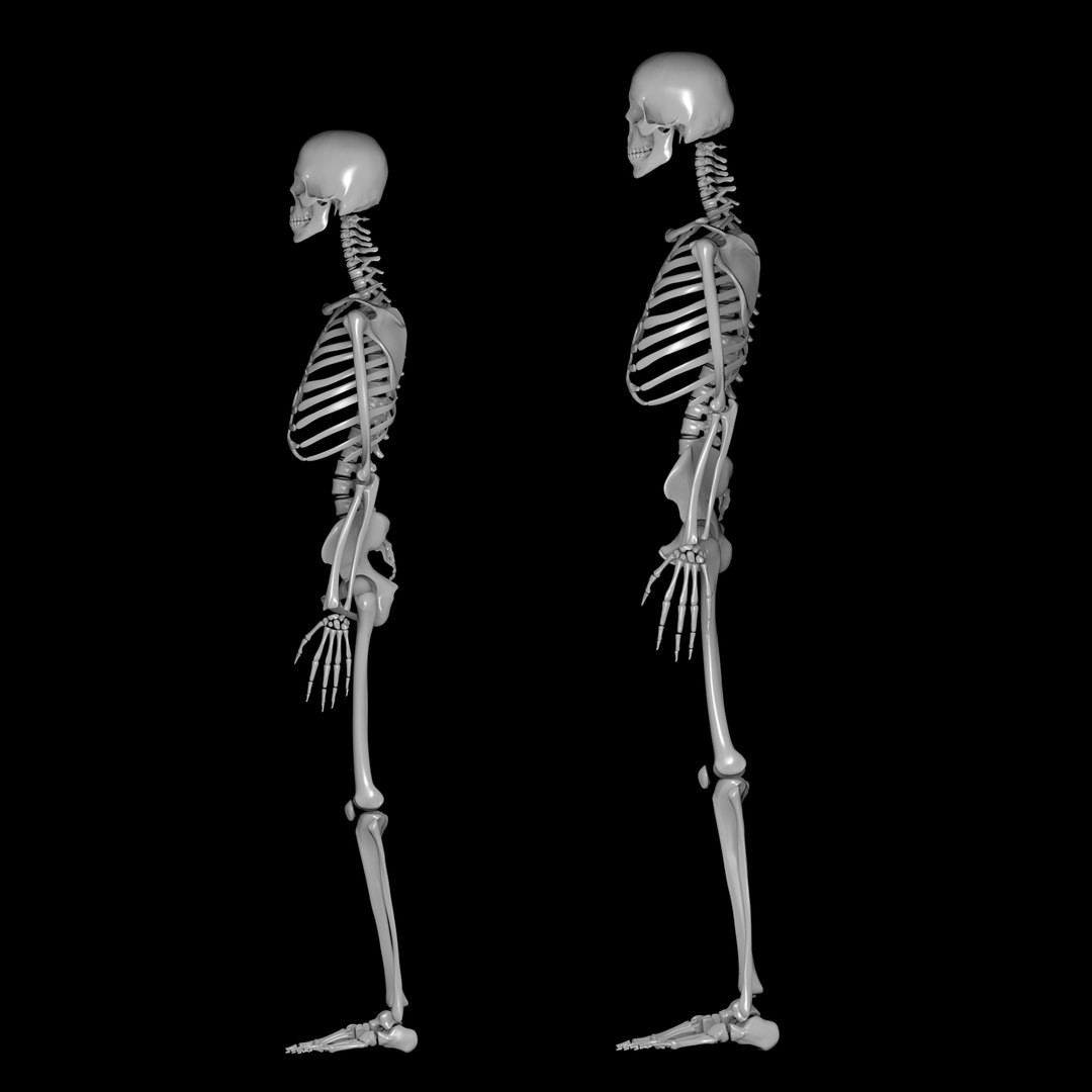 Bones Men Model - TurboSquid 1417201