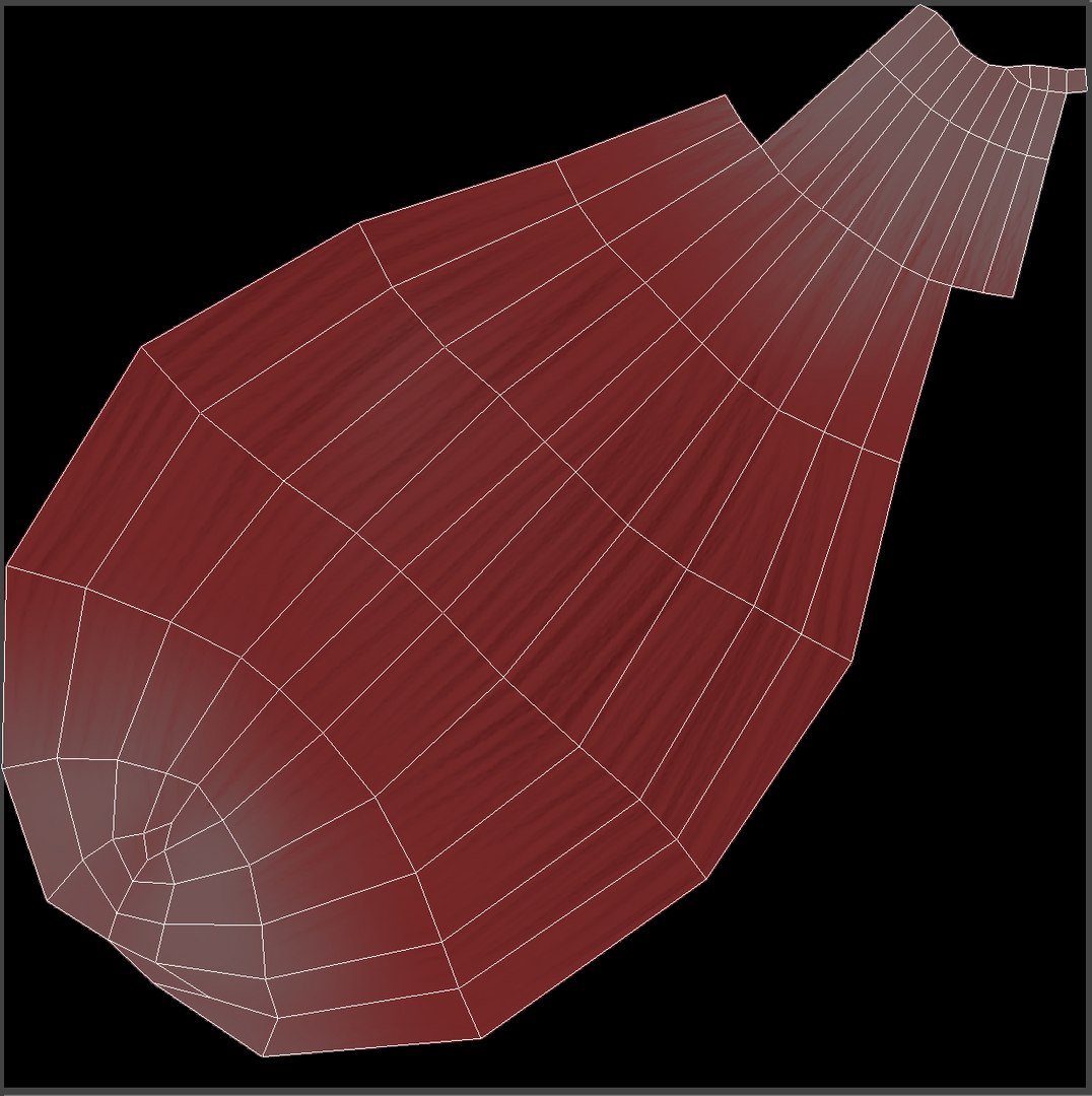Eye Anatomy 3D Model - TurboSquid 1973693