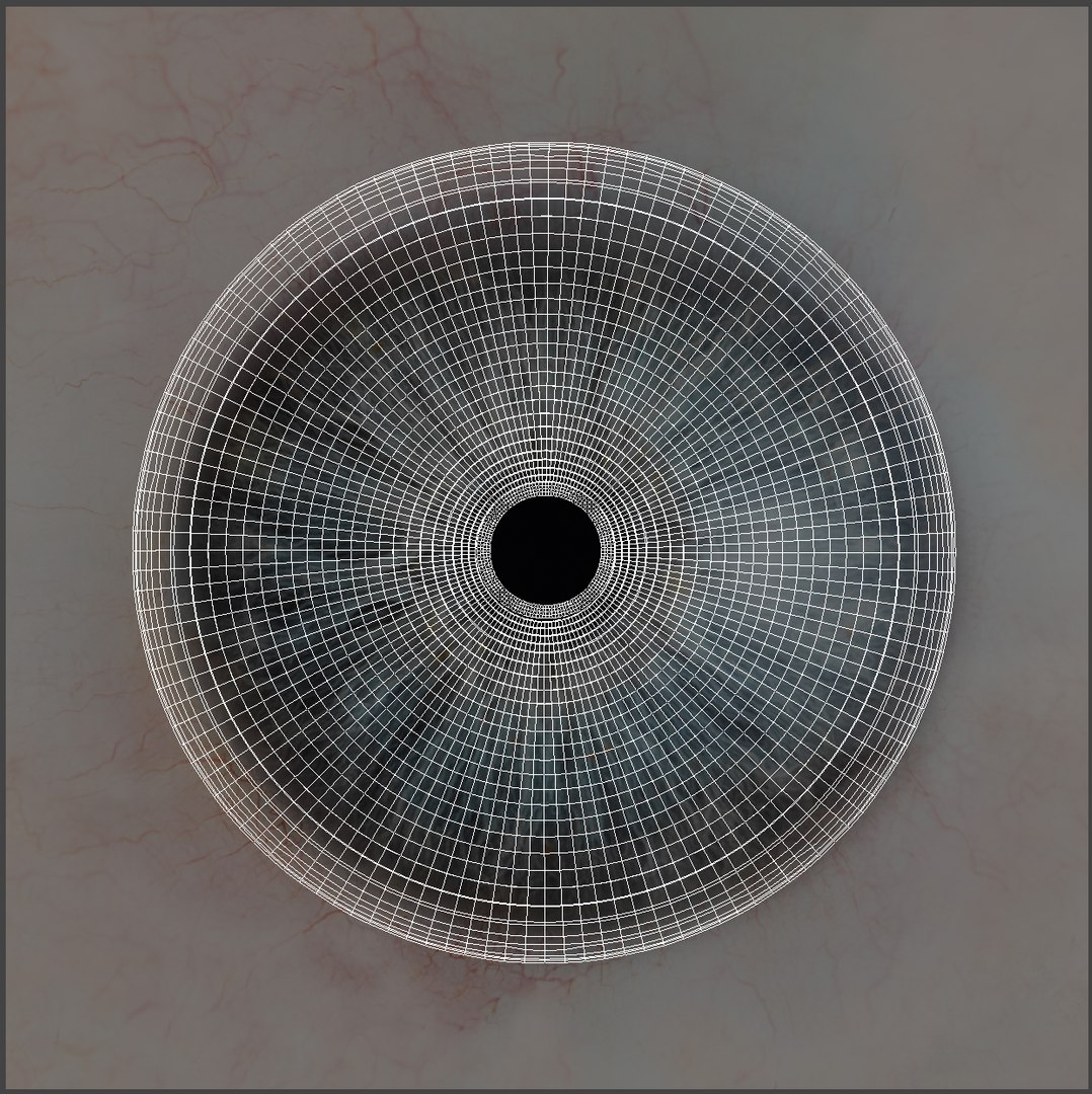 Eye Anatomy 3D Model - TurboSquid 1973693