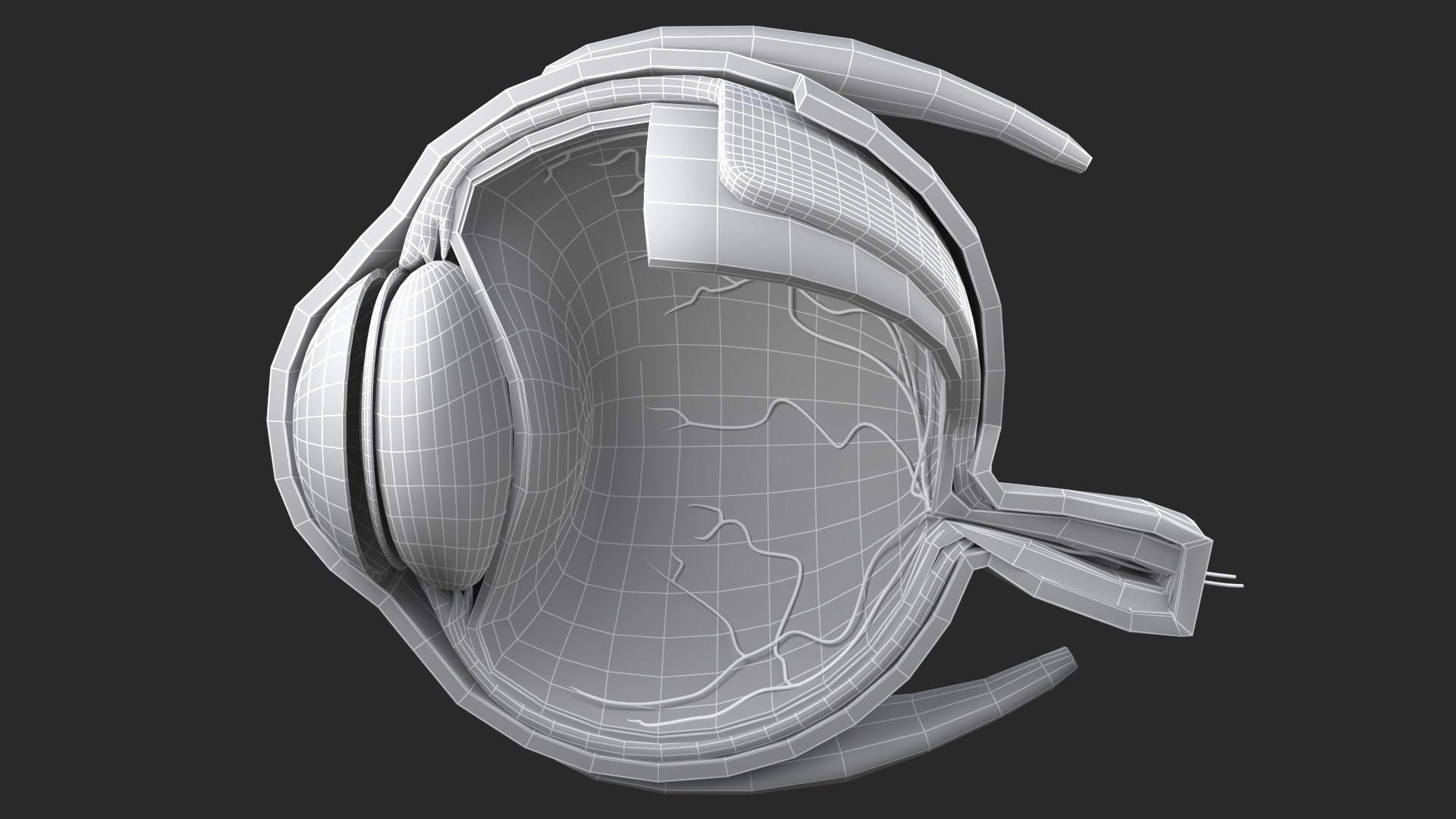 Eye Anatomy 3D Model - TurboSquid 1973693