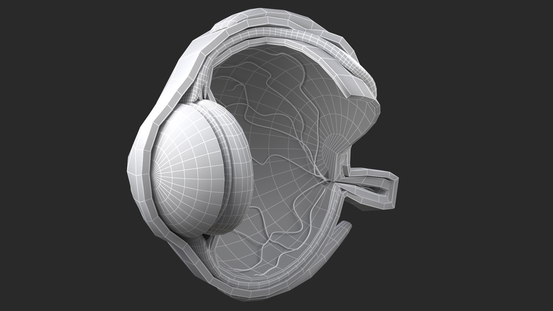 Eye Anatomy 3D Model - TurboSquid 1973693