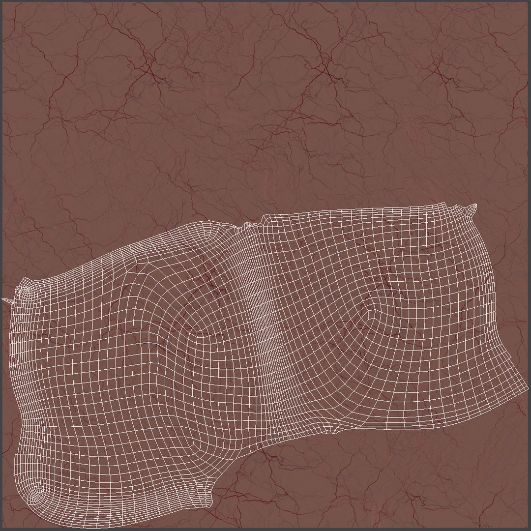 Eye Anatomy 3D Model - TurboSquid 1973693