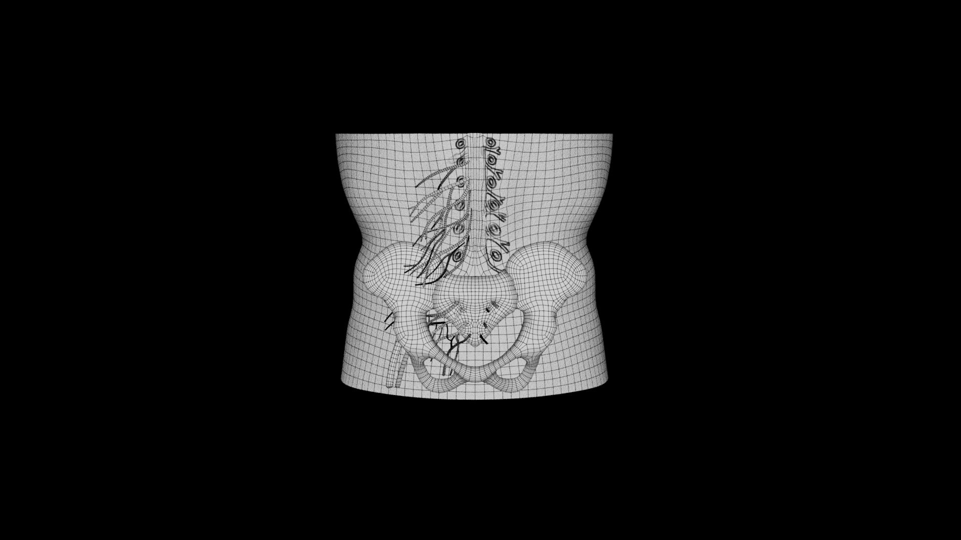 Human Anatomy-Lumbar Plexus 3D Model - TurboSquid 2218434