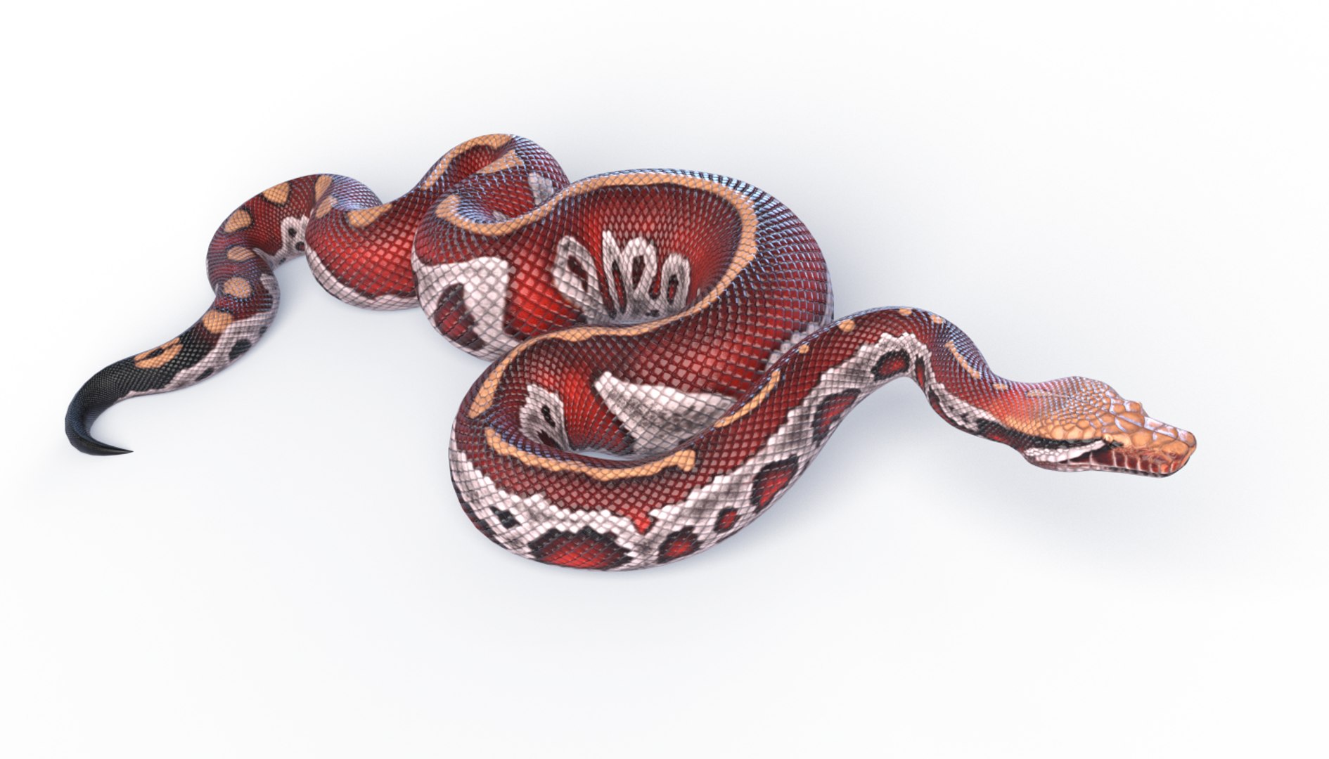 3D Model Blood Python Animation - TurboSquid 1392785