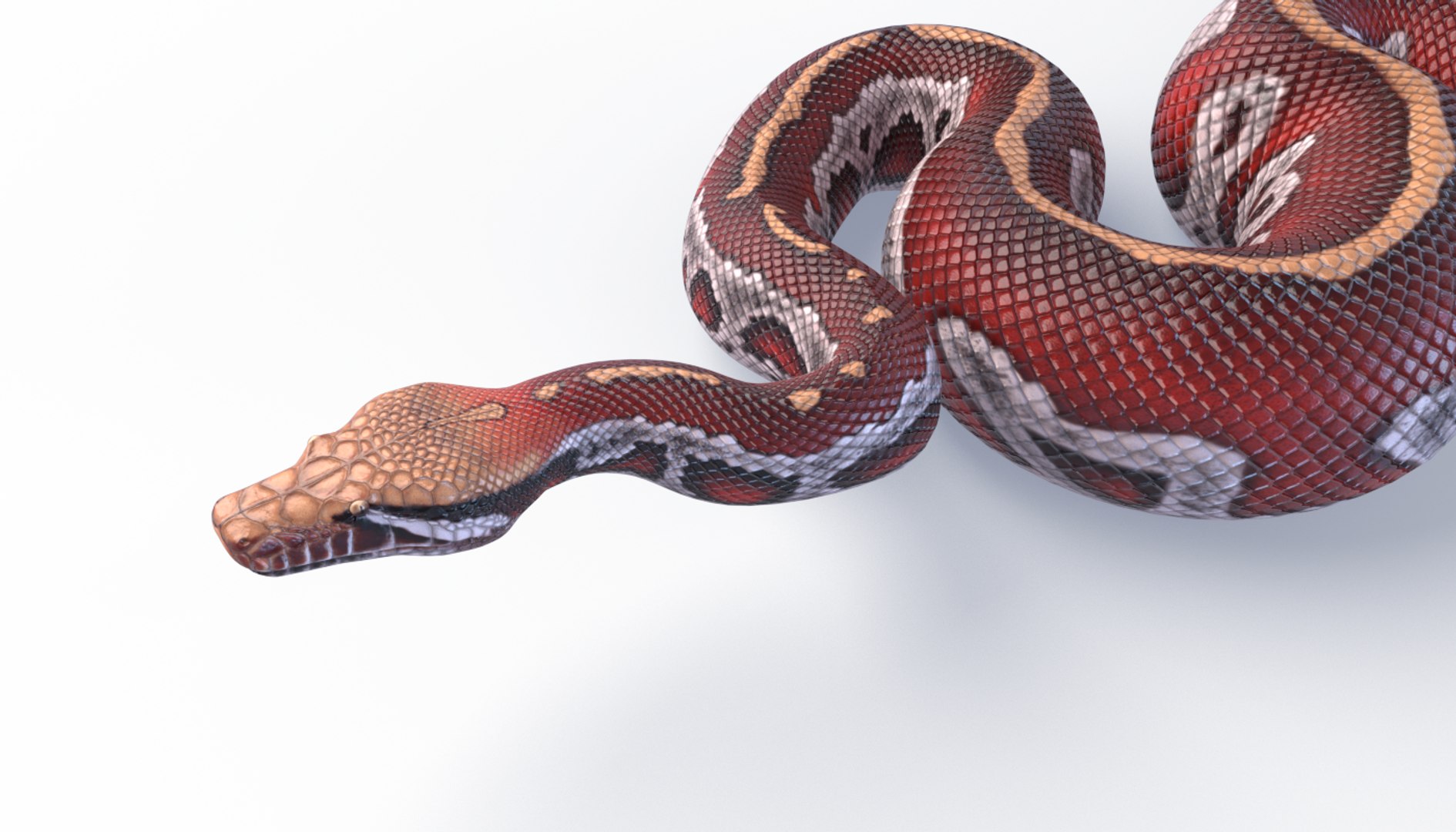 3D model blood python animation - TurboSquid 1392785