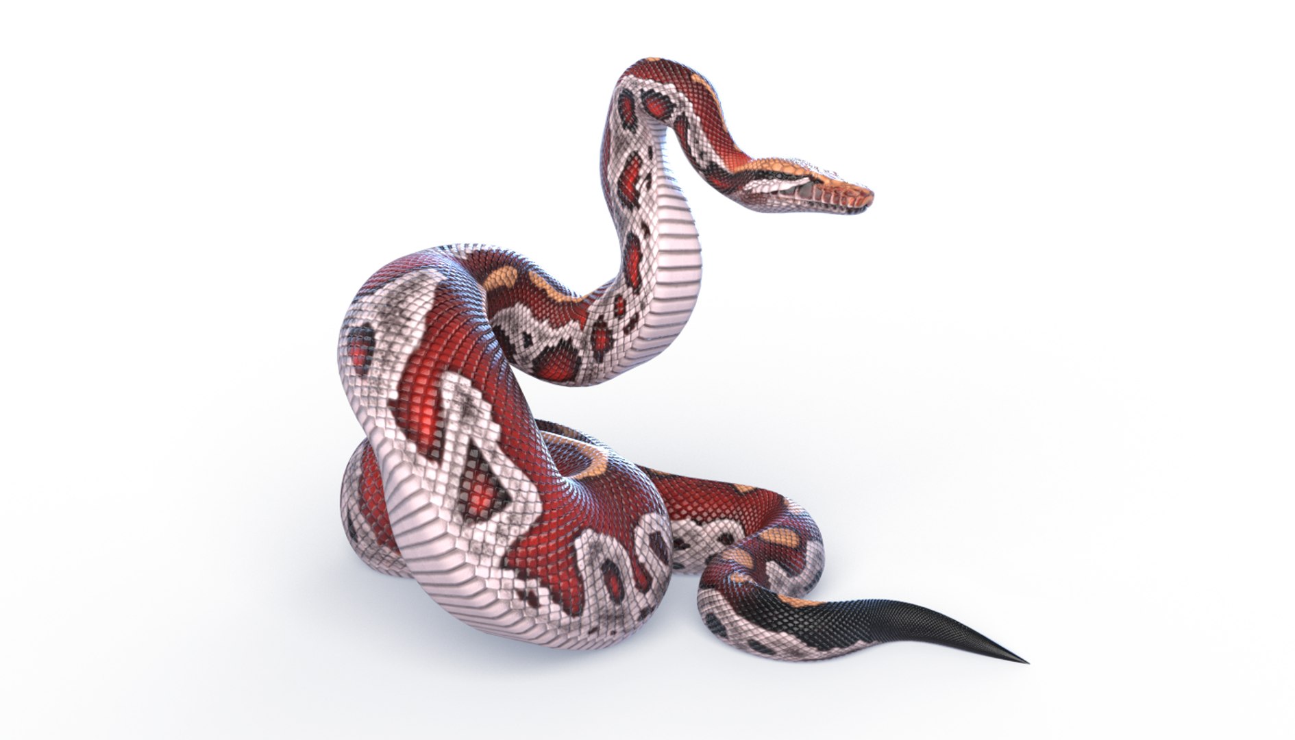 3D Model Blood Python Animation - TurboSquid 1392785