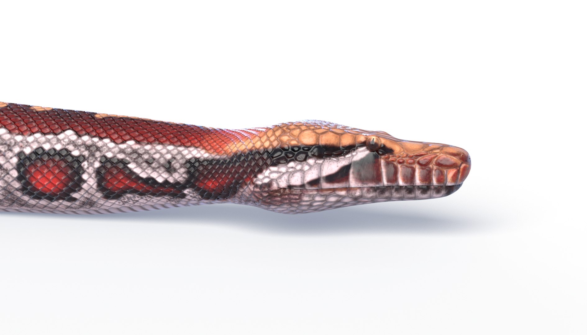 3D model blood python animation - TurboSquid 1392785
