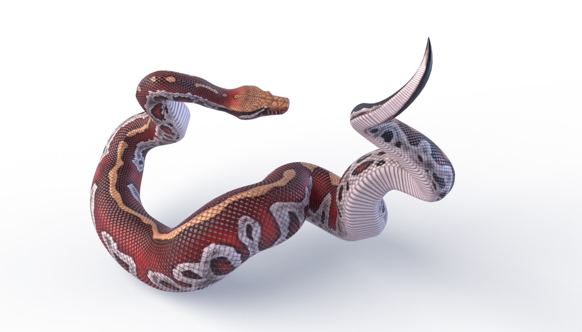 3D model blood python animation - TurboSquid 1392785