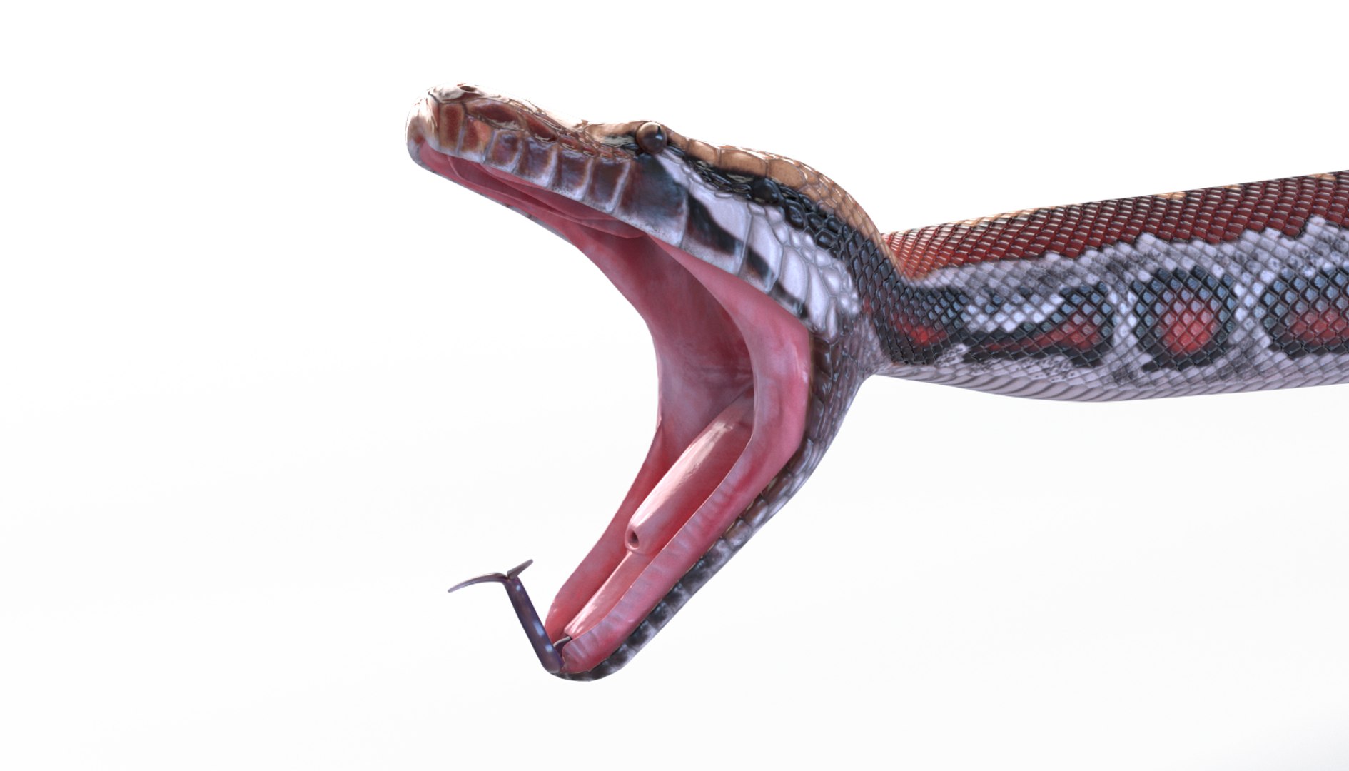 3D model blood python animation - TurboSquid 1392785