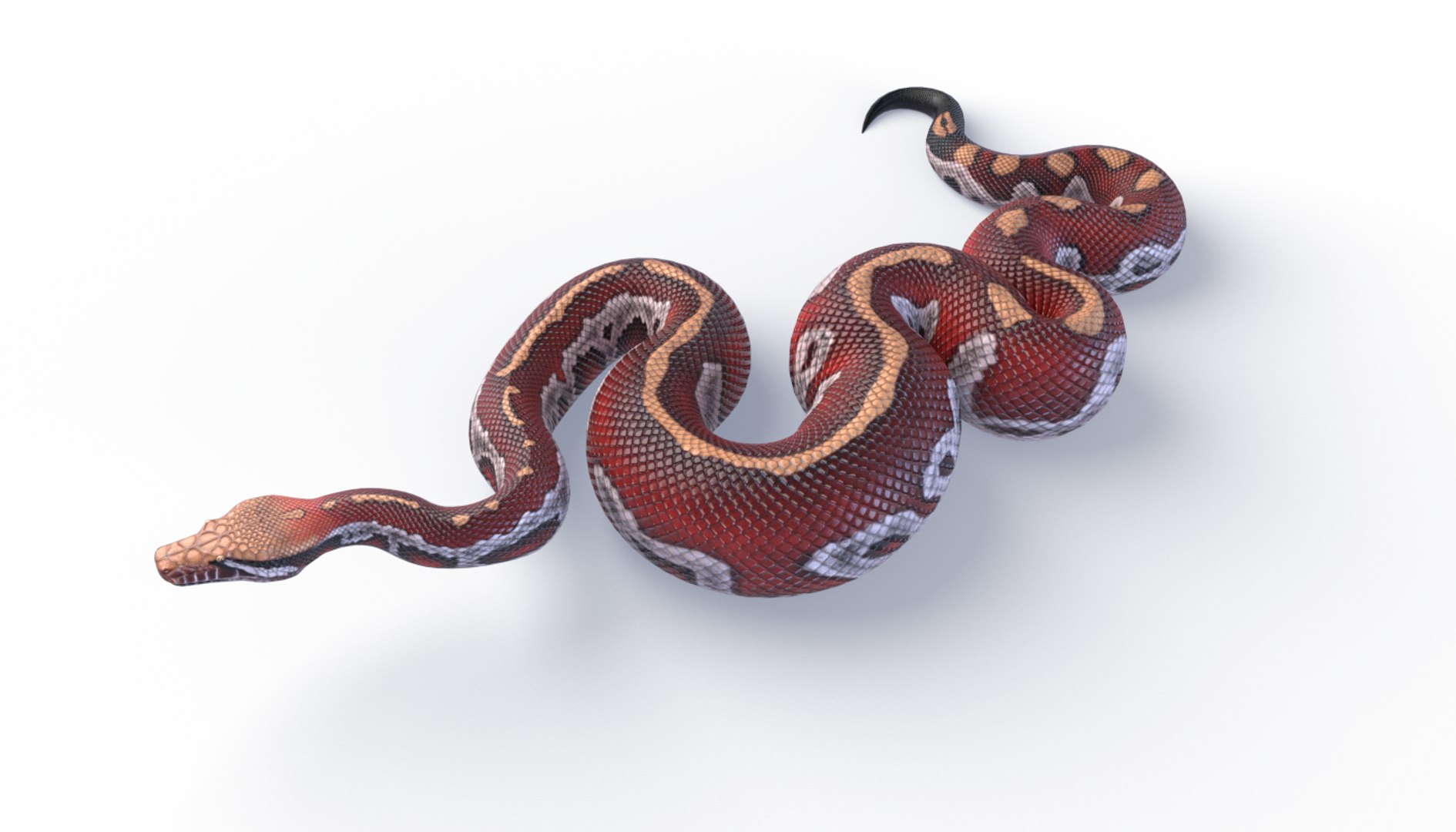 3D model blood python animation - TurboSquid 1392785