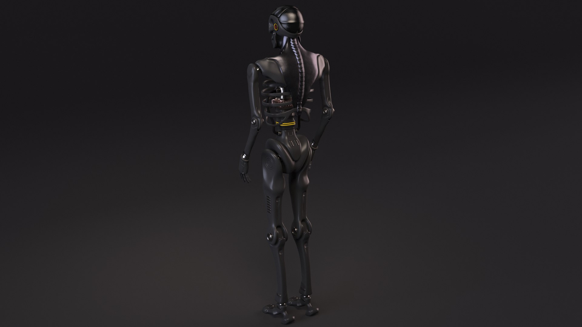 Robot Skeleton 3D - TurboSquid 1682177