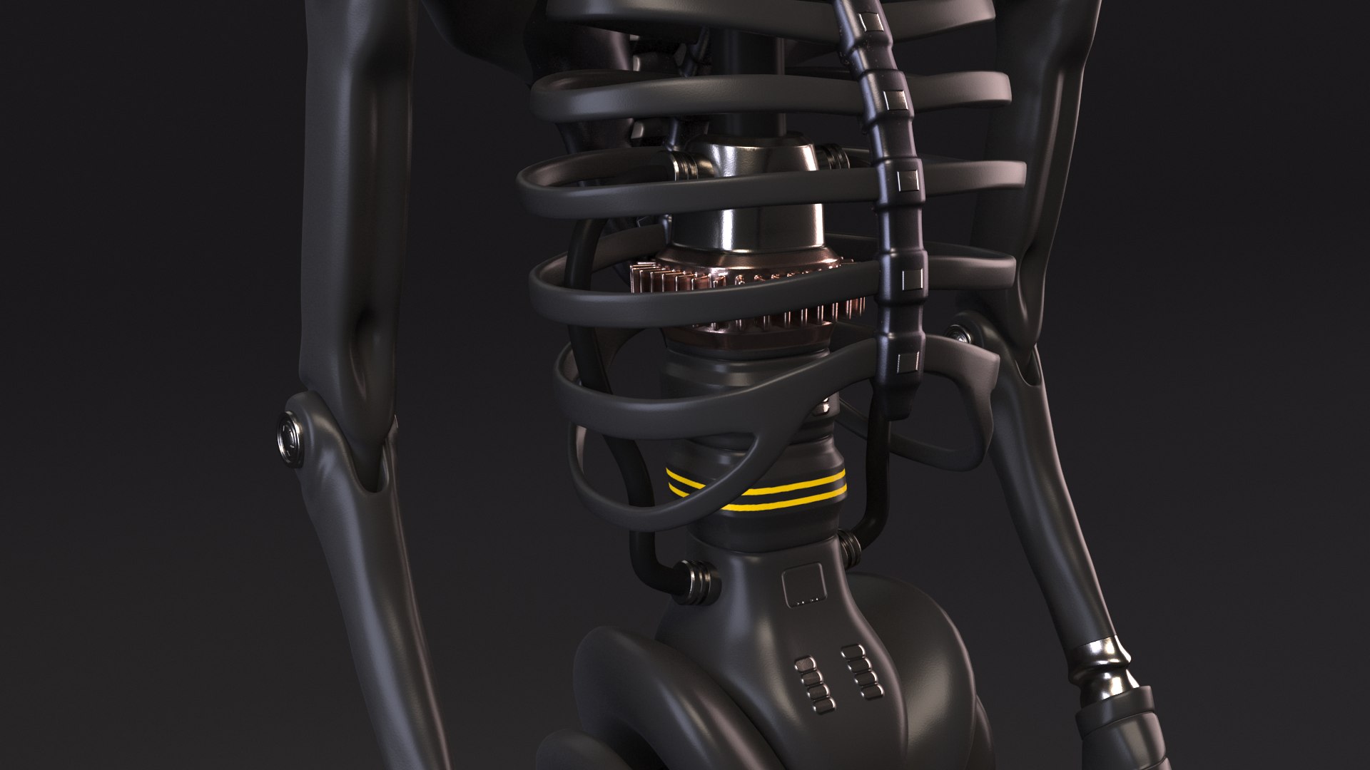 Robot Skeleton 3D - TurboSquid 1682177