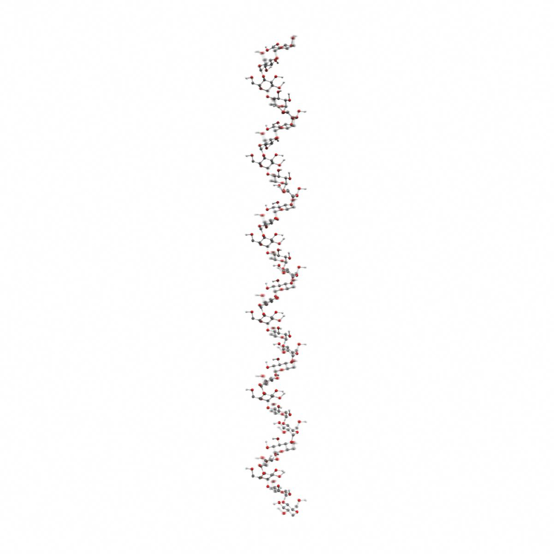 Amylose Glycosidic Bonds 3d Model