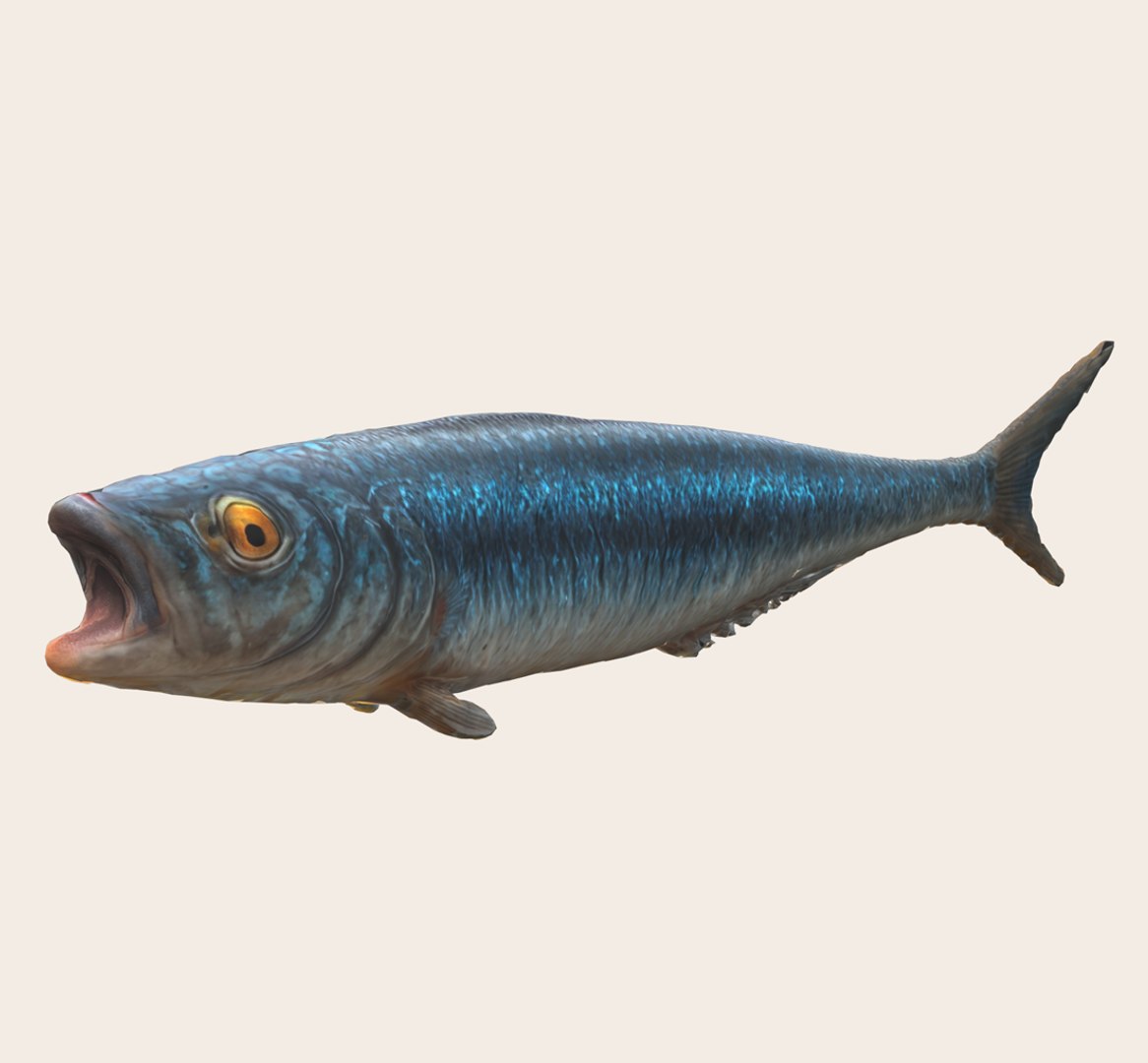 3D Sardine Lanternfish - TurboSquid 2305544
