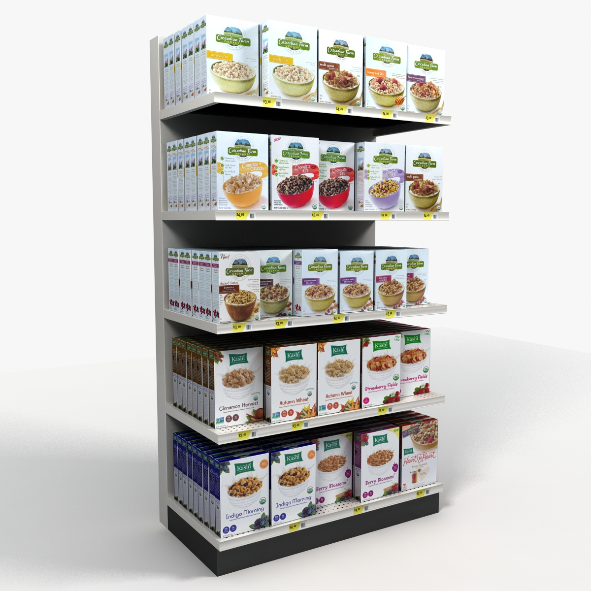 model food cases