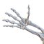 Human Arm Bones 3d Model