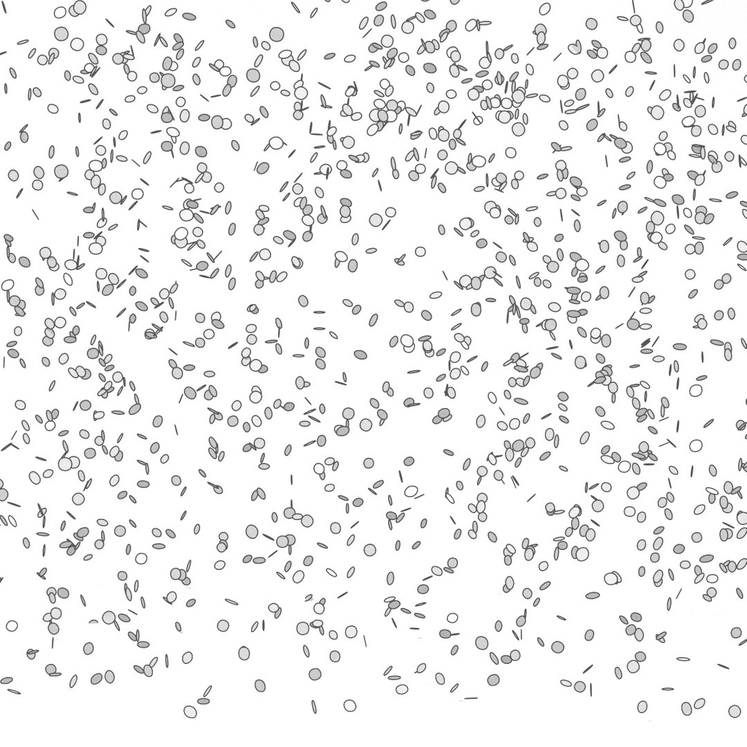 3D Confetti Set - TurboSquid 2093905