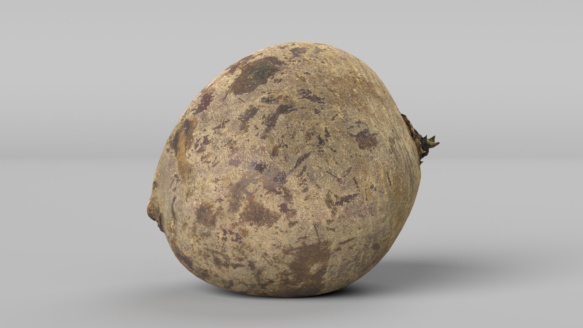 Beetroot 3D model - TurboSquid 1811306