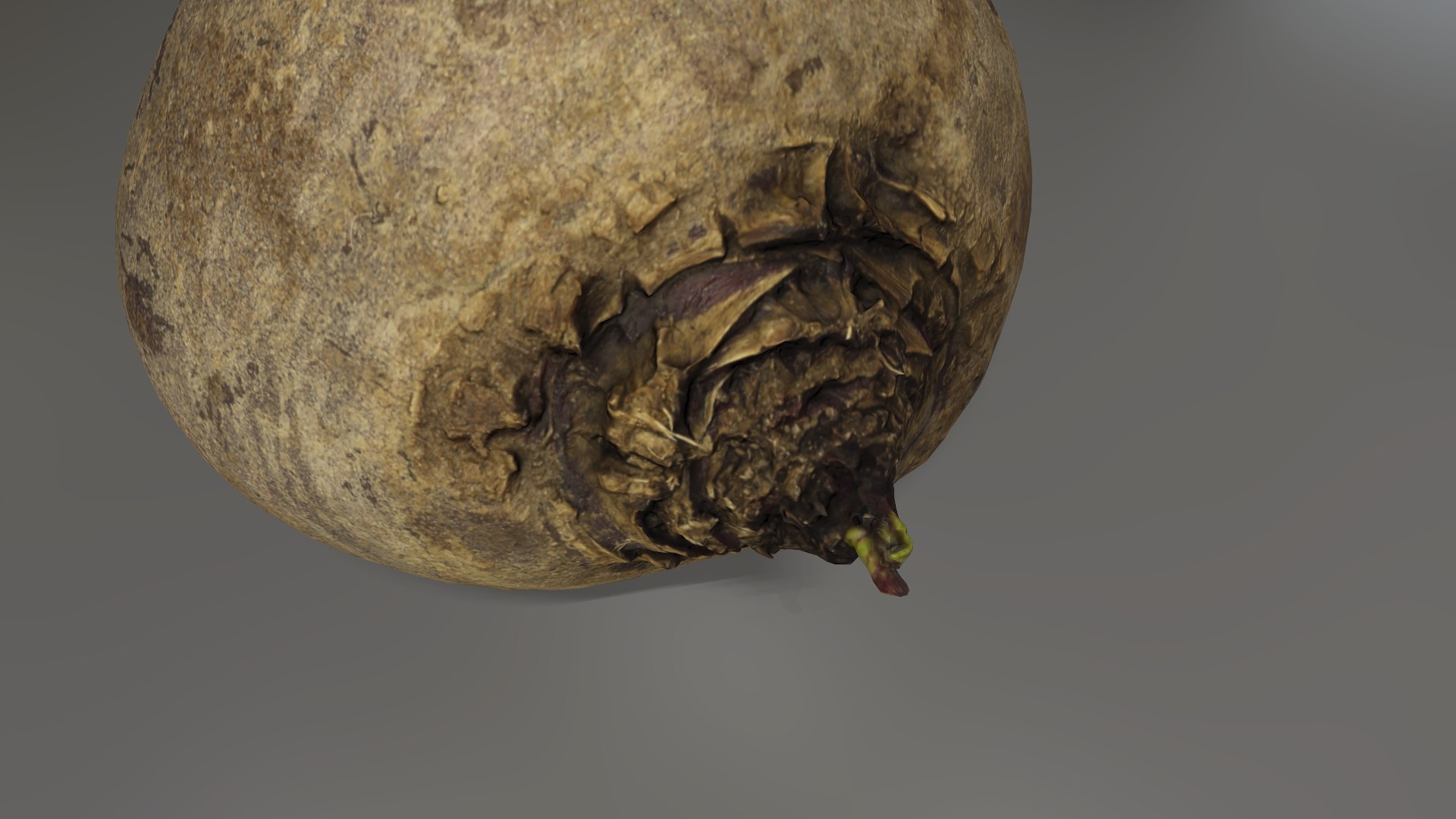 Beetroot 3D model - TurboSquid 1811306