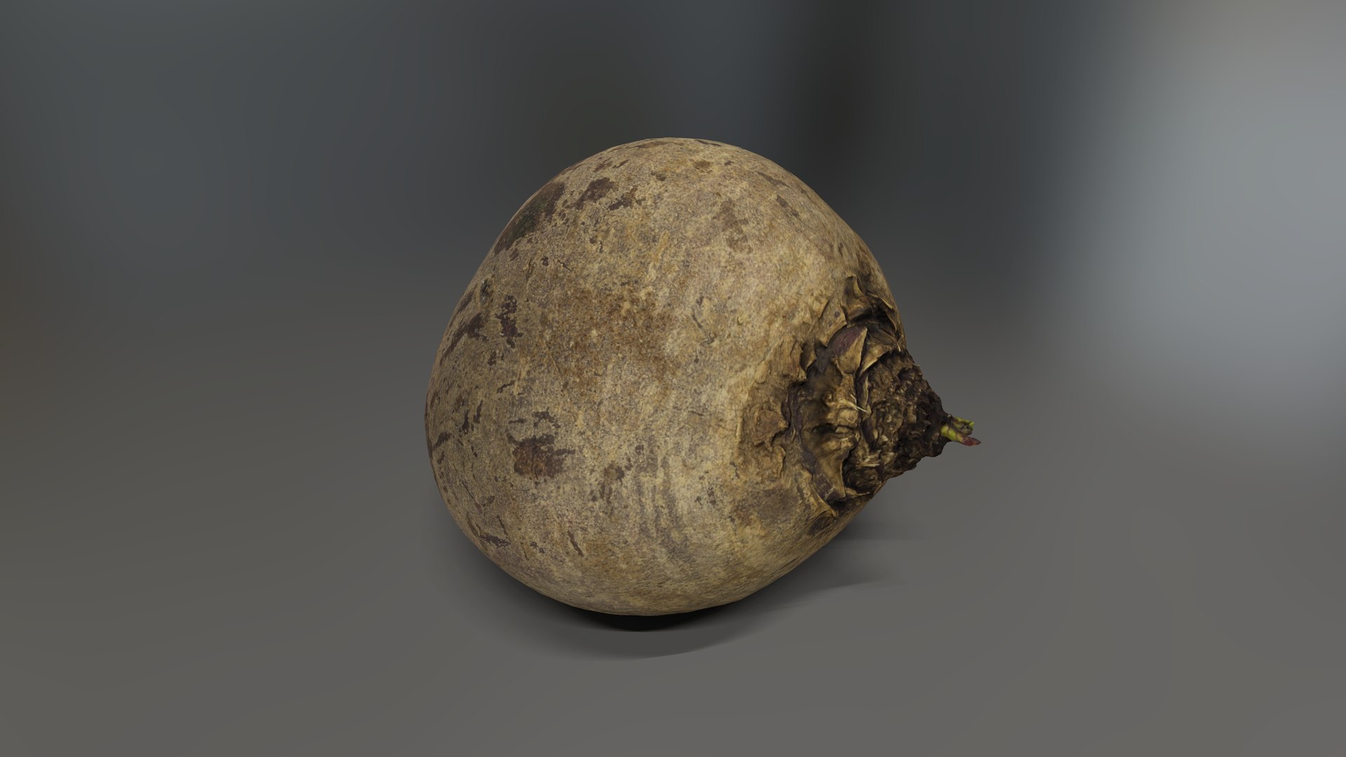 Beetroot 3D model - TurboSquid 1811306