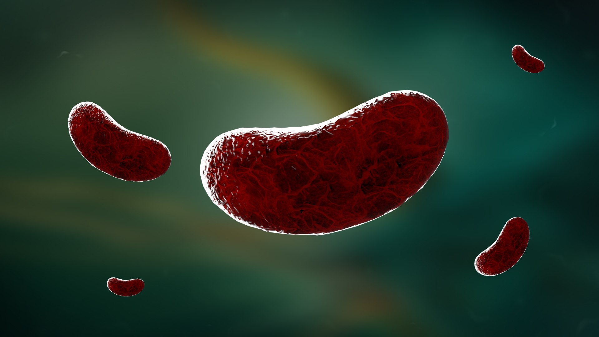 Macrophage Eating Bacteria Model - TurboSquid 1717361