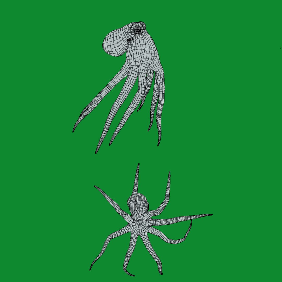 3D Octopus Model - TurboSquid 2303729