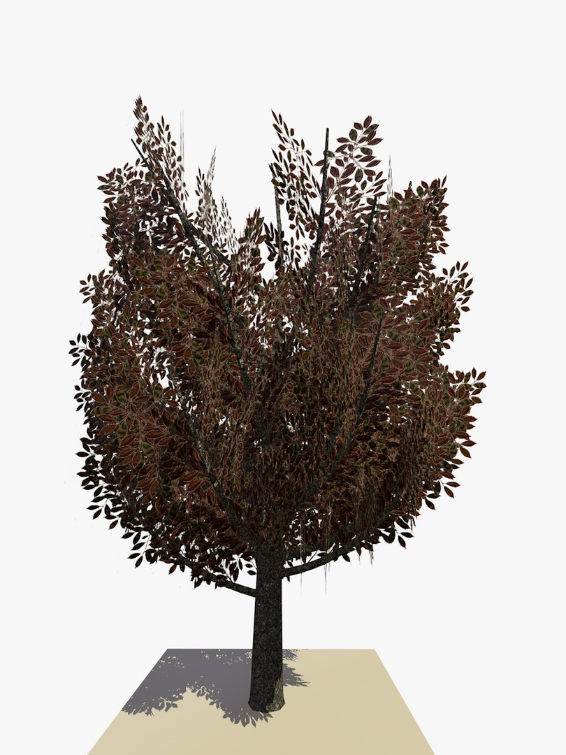 3d Model Tree Animations