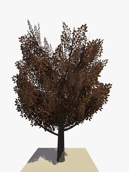 3d model tree animations