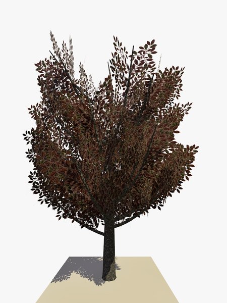 3d model tree animations