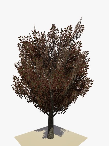 3d model tree animations