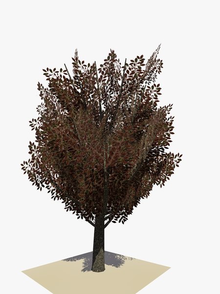 3d model tree animations