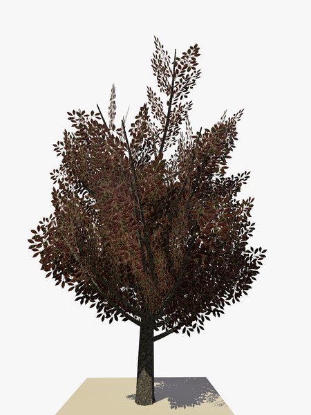 3d model tree animations