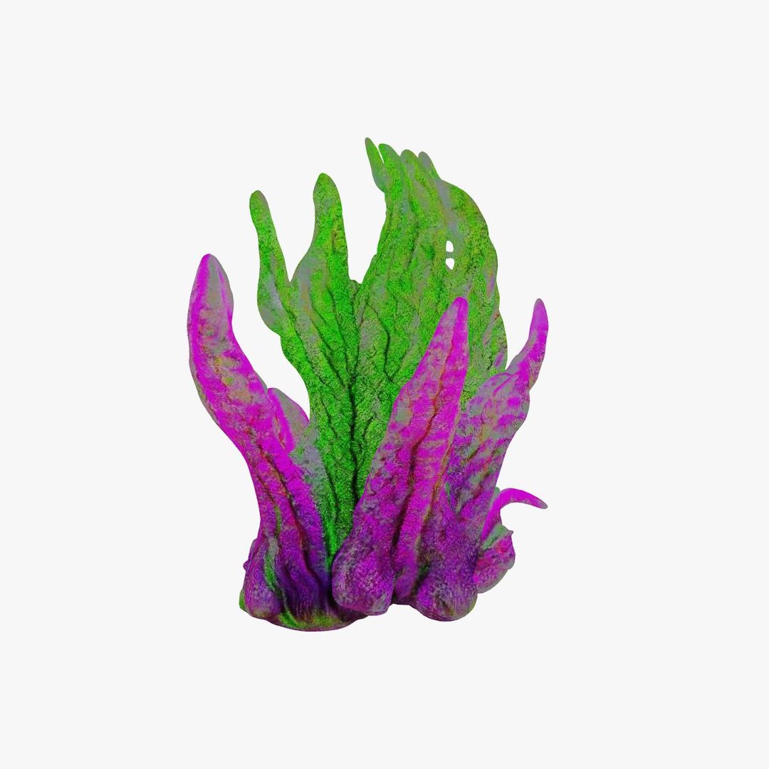 3D Coral Reef - TurboSquid 2221418