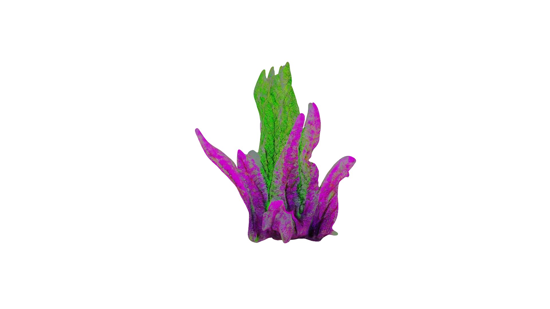 3D Coral Reef - TurboSquid 2221418
