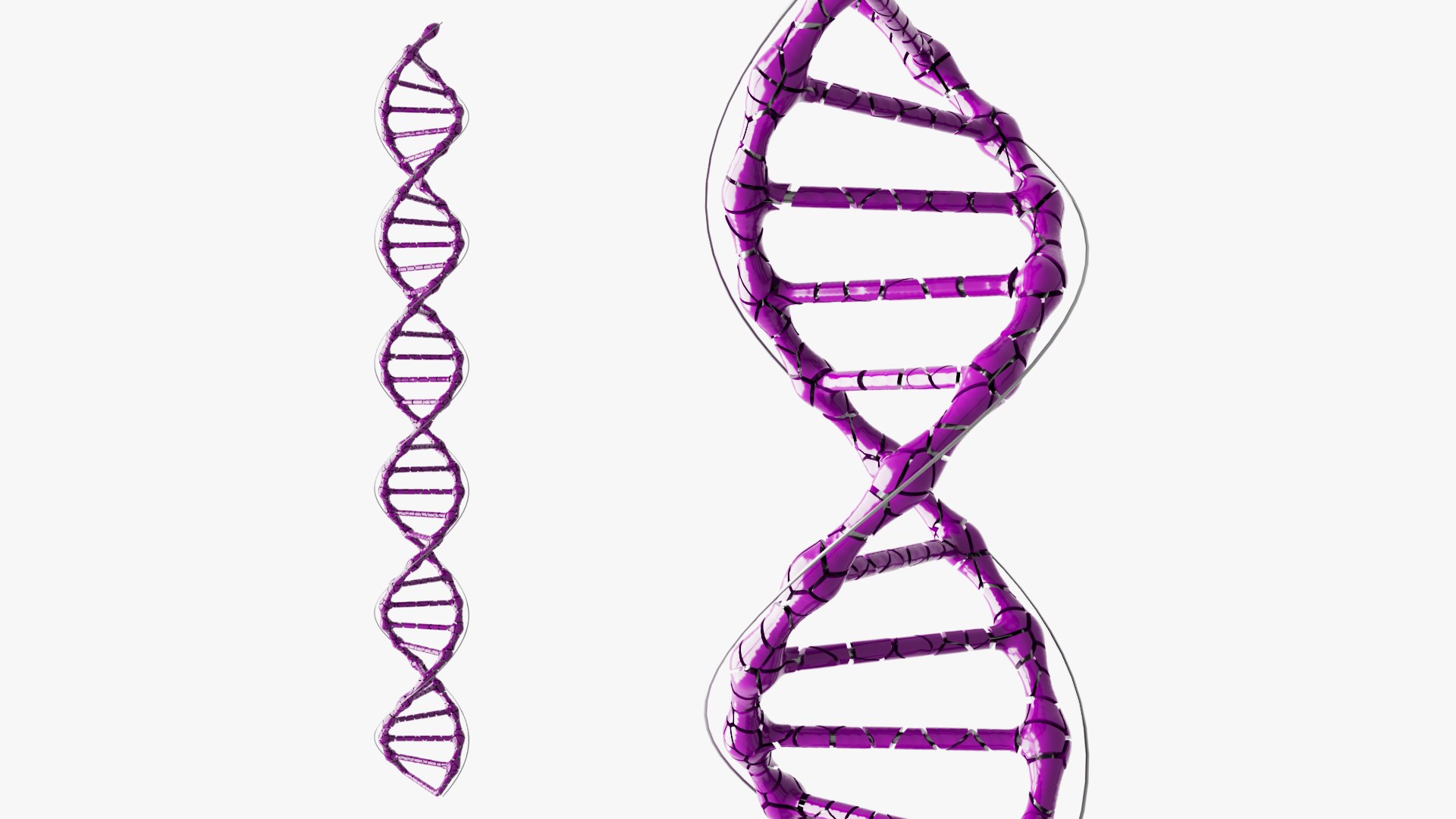 3D DNA Hexagons Model - TurboSquid 2239434