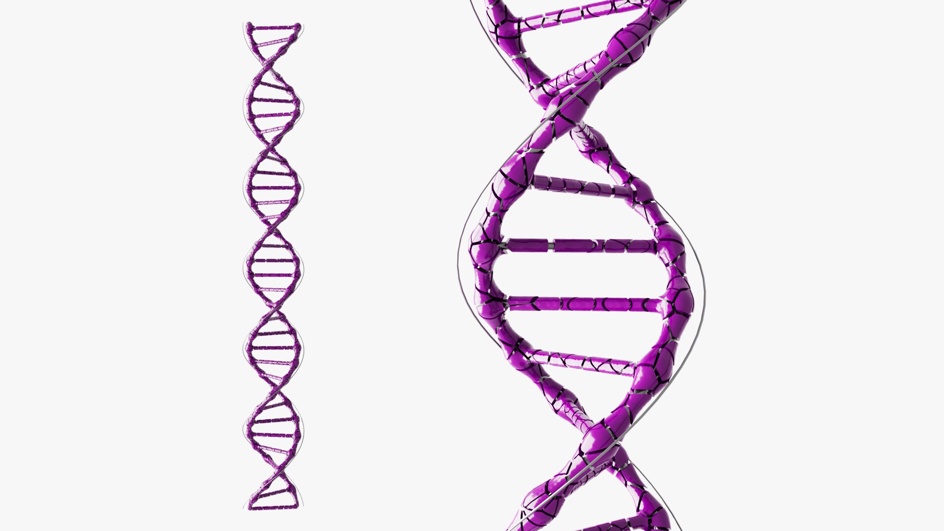 3D DNA Hexagons Model - TurboSquid 2239434