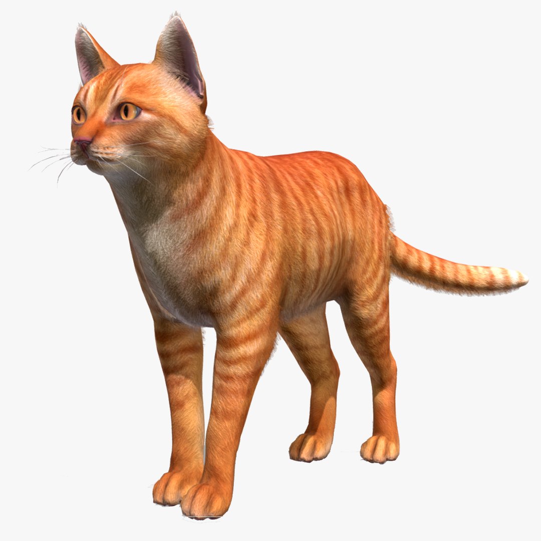 3D Cats - Simple model - TurboSquid 2023421