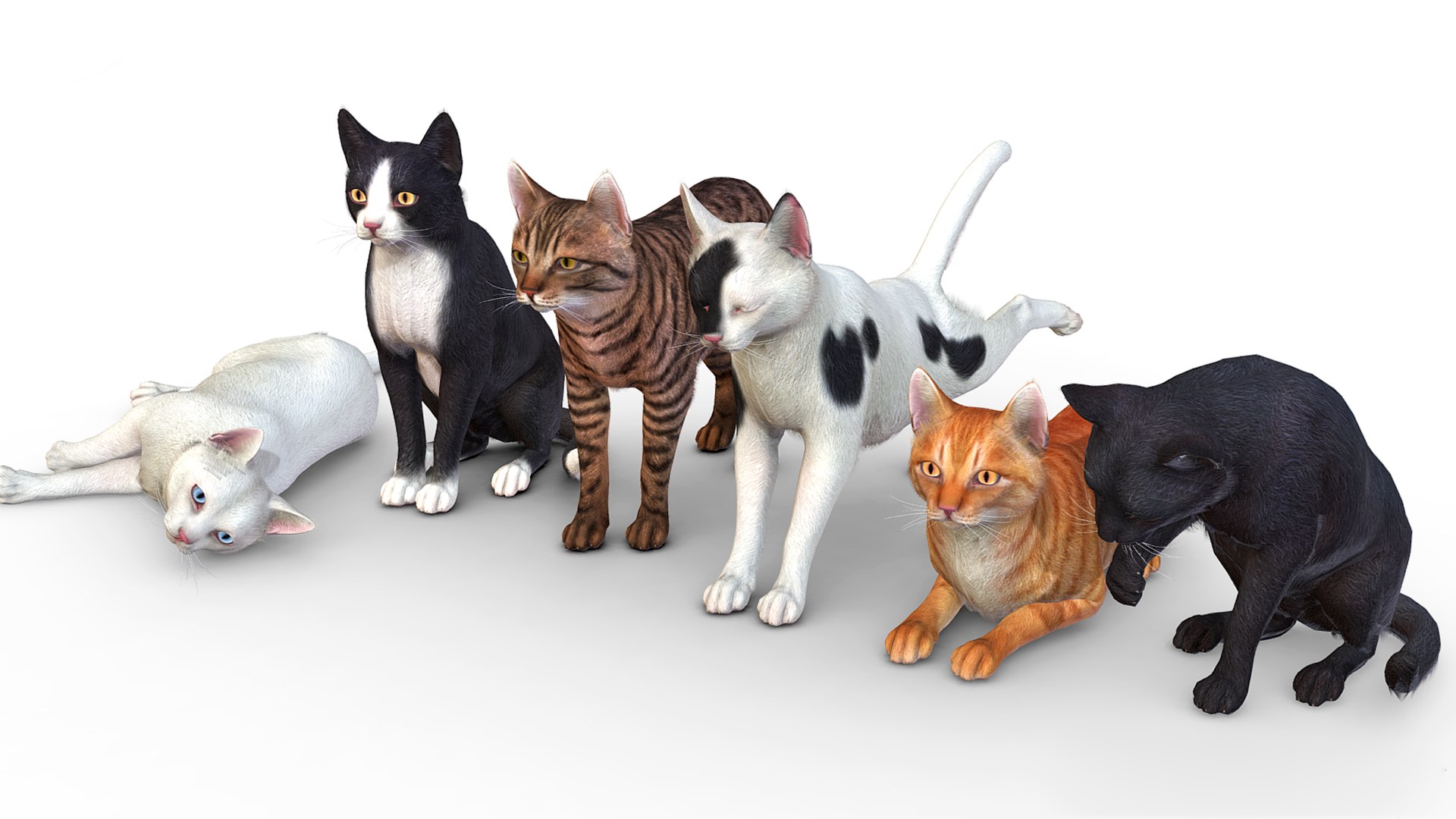 3D Cats - Simple Model - TurboSquid 2023421