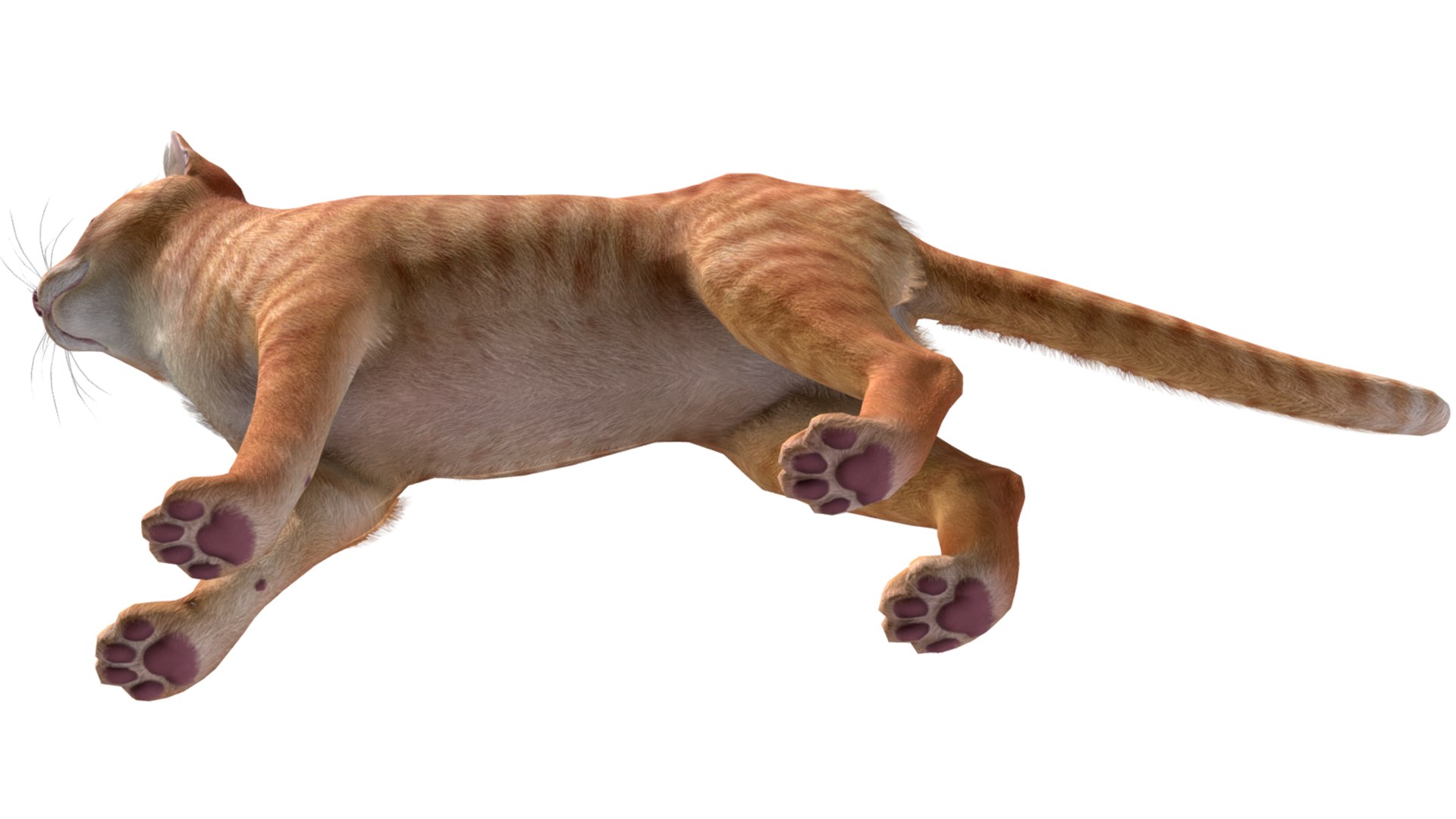 3D Cats - Simple model - TurboSquid 2023421