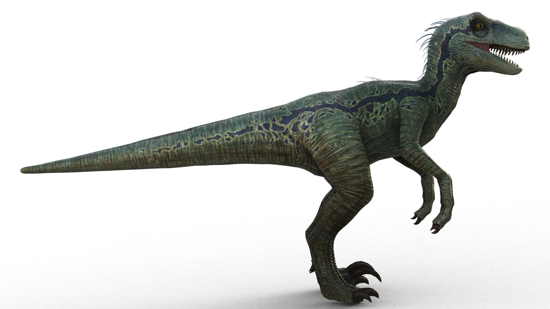 Raptor 3D model - TurboSquid 2074439