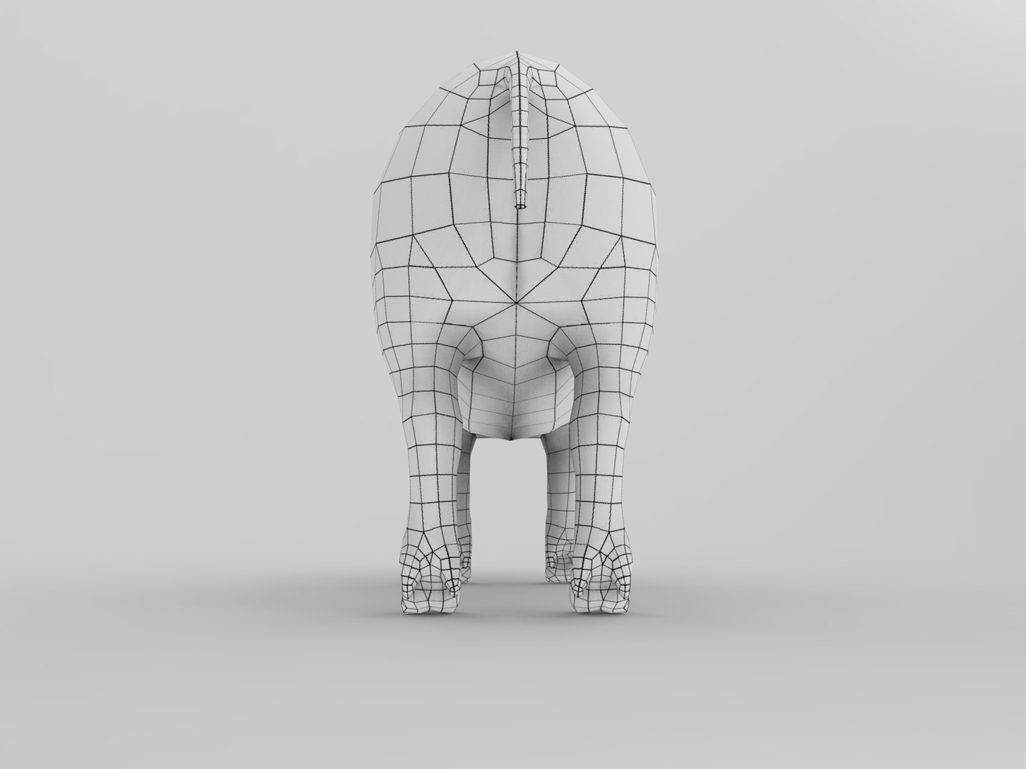Pig Ready 3d Model