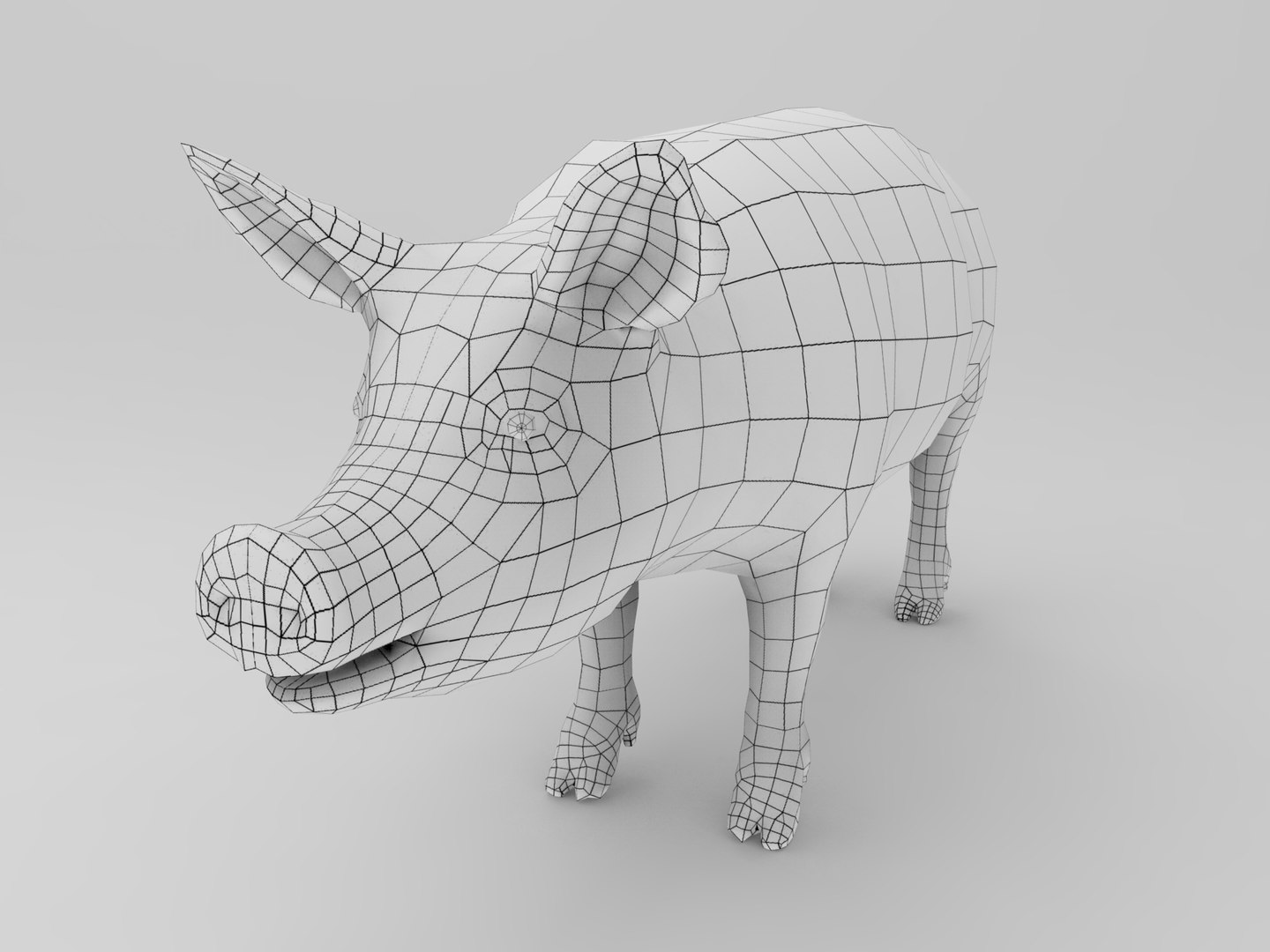 Pig Ready 3d Model