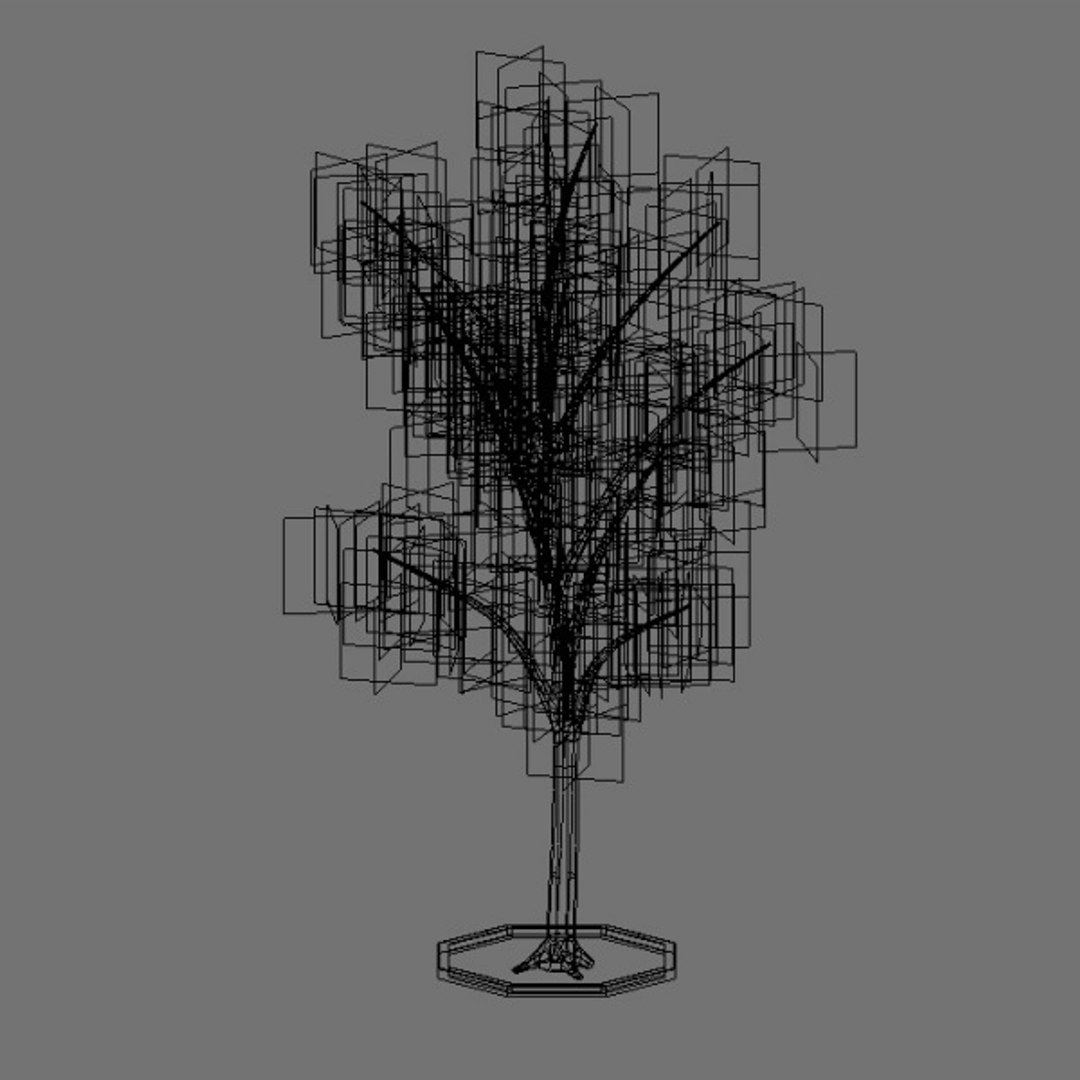 Birch Tree Pl 3d Model